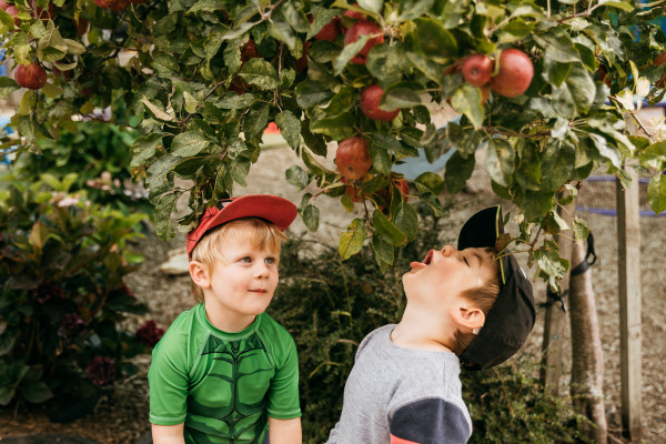 Busy Bees - The First 5 Years of Learning in Early Childhood Education