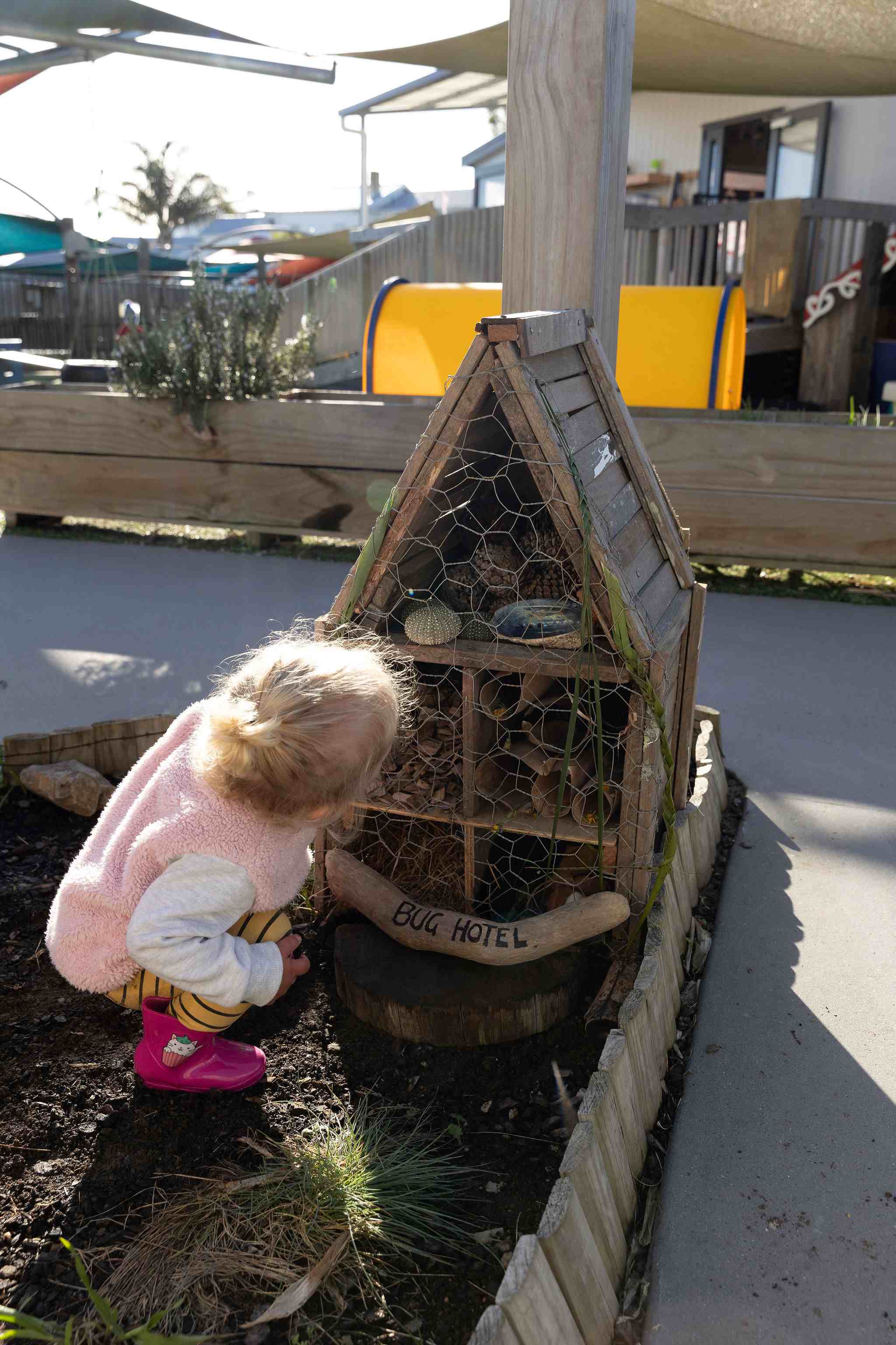 Busy Bees - Busy Bees Dargaville