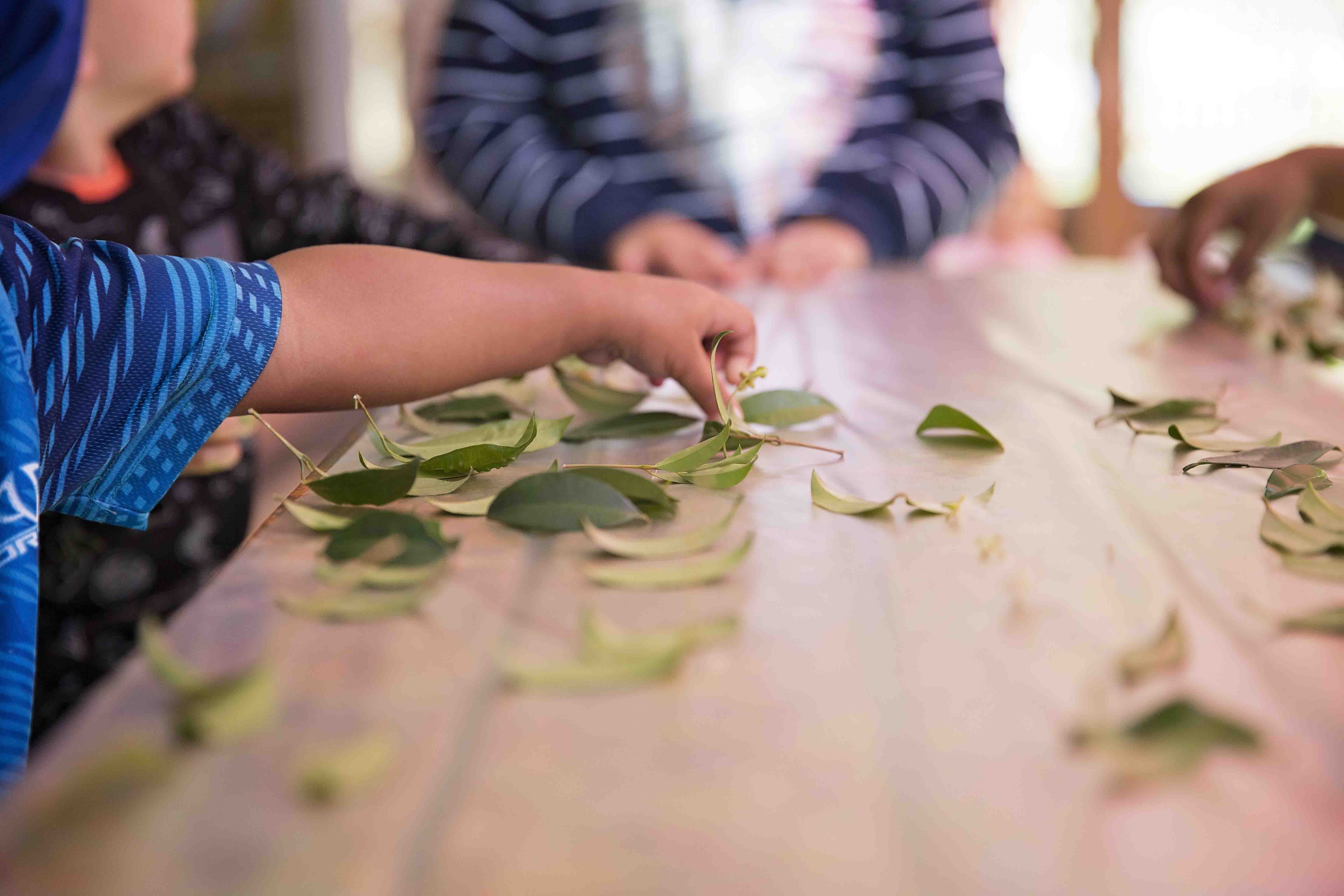 Busy Bees - Busy Bees Feilding