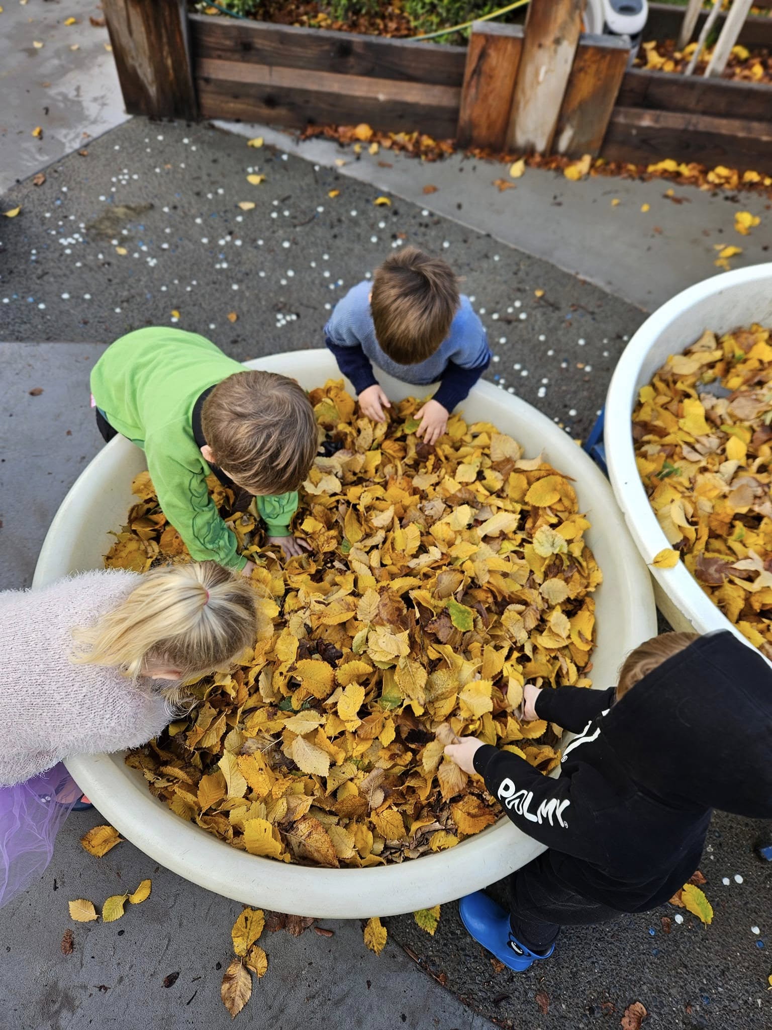 Busy Bees - Feilding Childcare Manchester Street